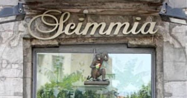 Gelateria La Scimmia chiude i battenti: addio a un pezzo di Napoli