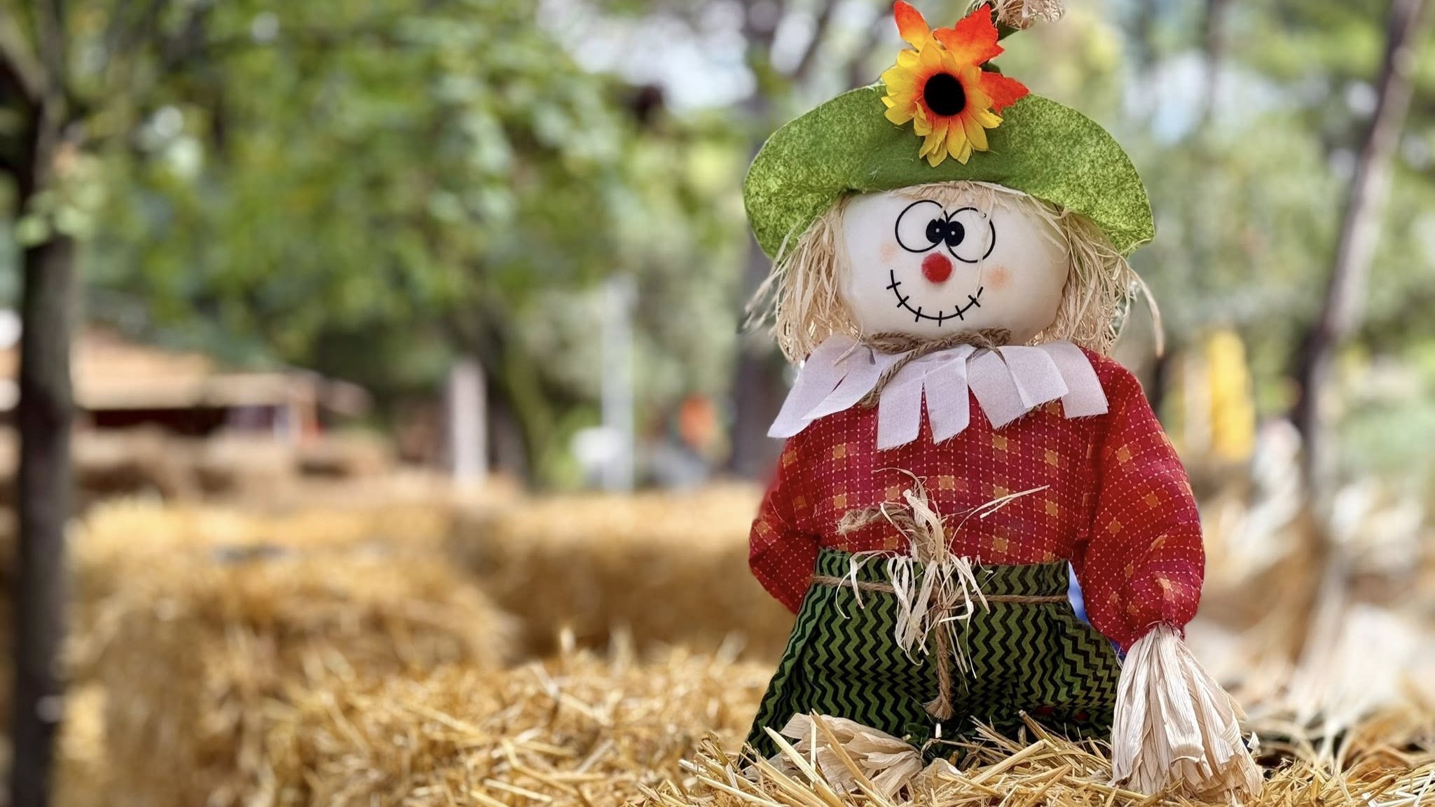 Zucca Village, il villaggio delle zucche gratis a Sant'Antonio Abate